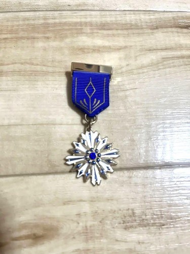Fate/Grandorder Grand Knight Medal | eBay