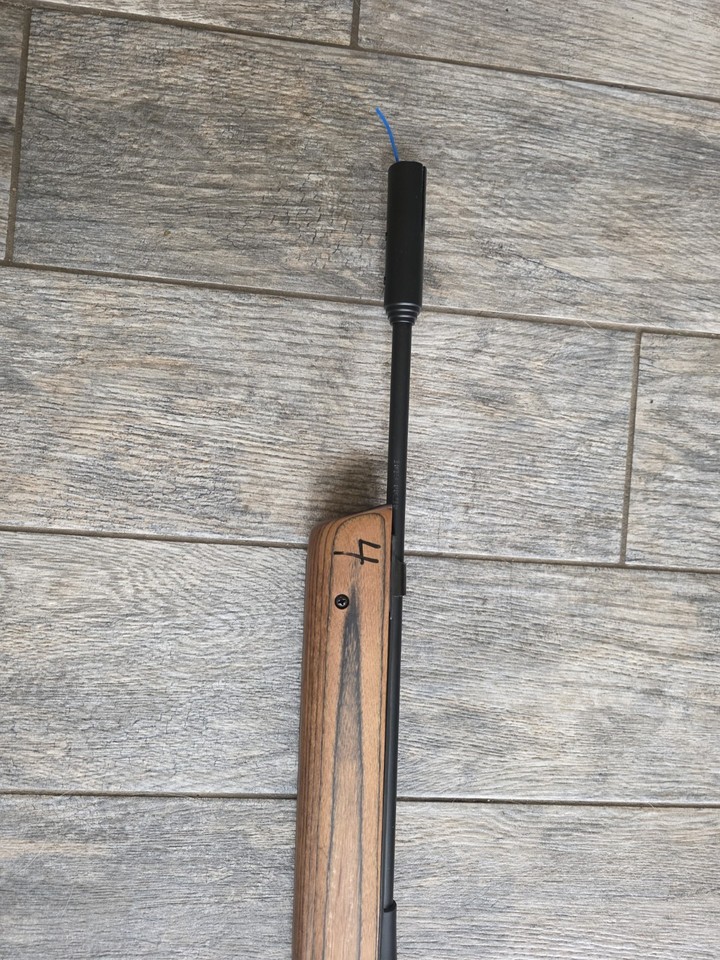 Daisy Avanti co2 Air Pellet Rifle .177 Caliber | eBay