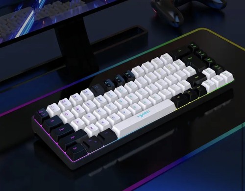 HKSJ 68% RGB Gaming Keyboard + FREE INCLUDED MOUSE | eBay