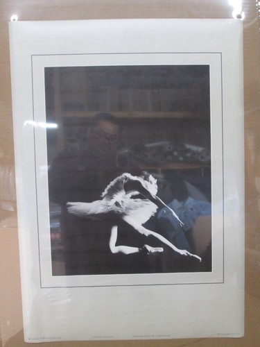 vintage Ballet original poster ballerina Cynthia Gregory 18281 | eBay