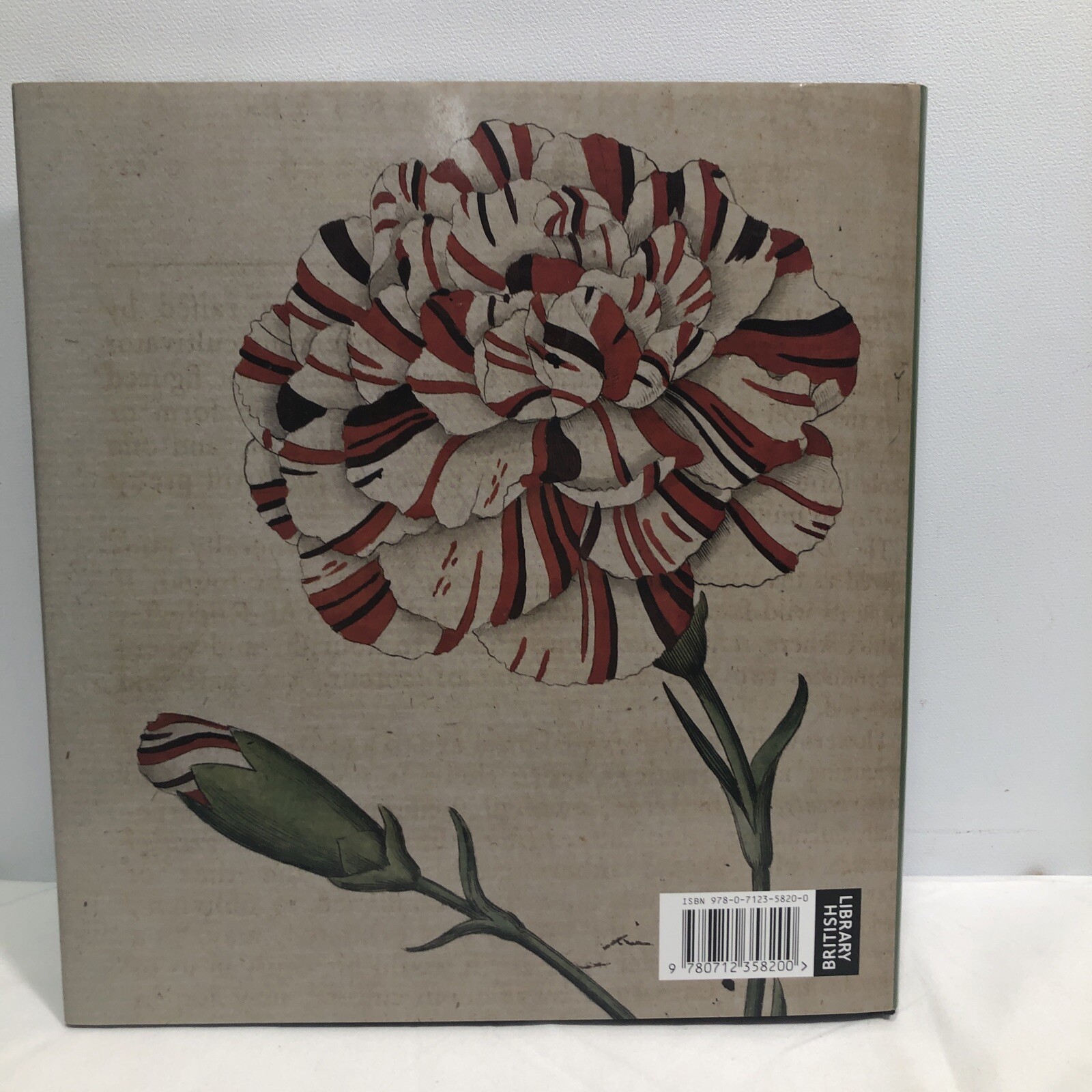 Golden Age of Flowers : Botanical Illustration in the Age of Discovery ...