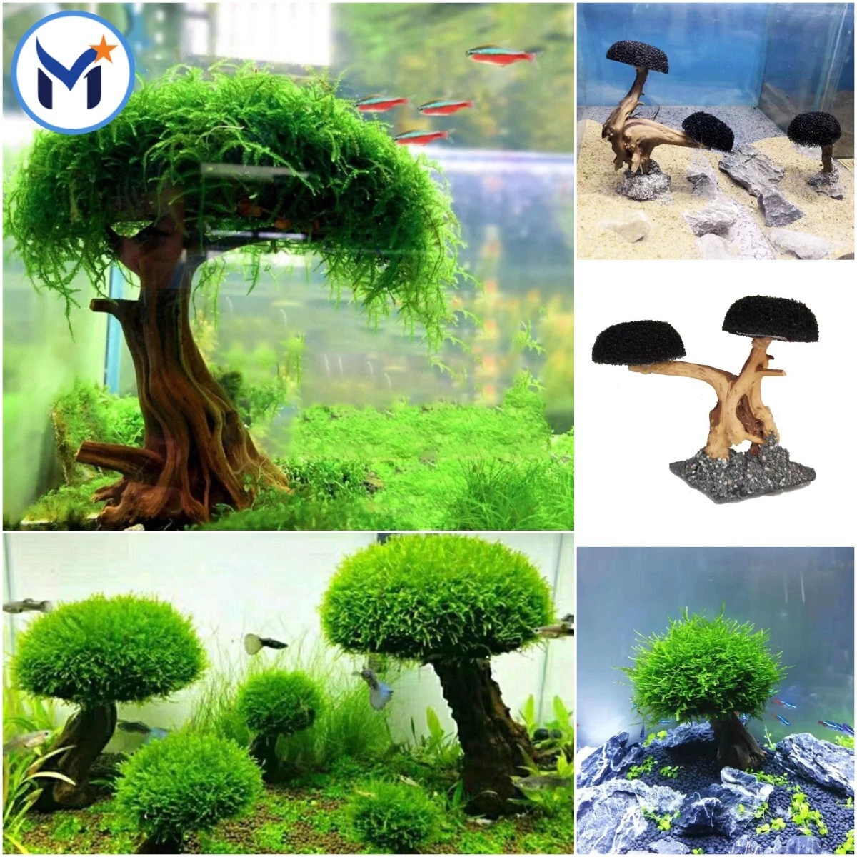 Java Moss Tree