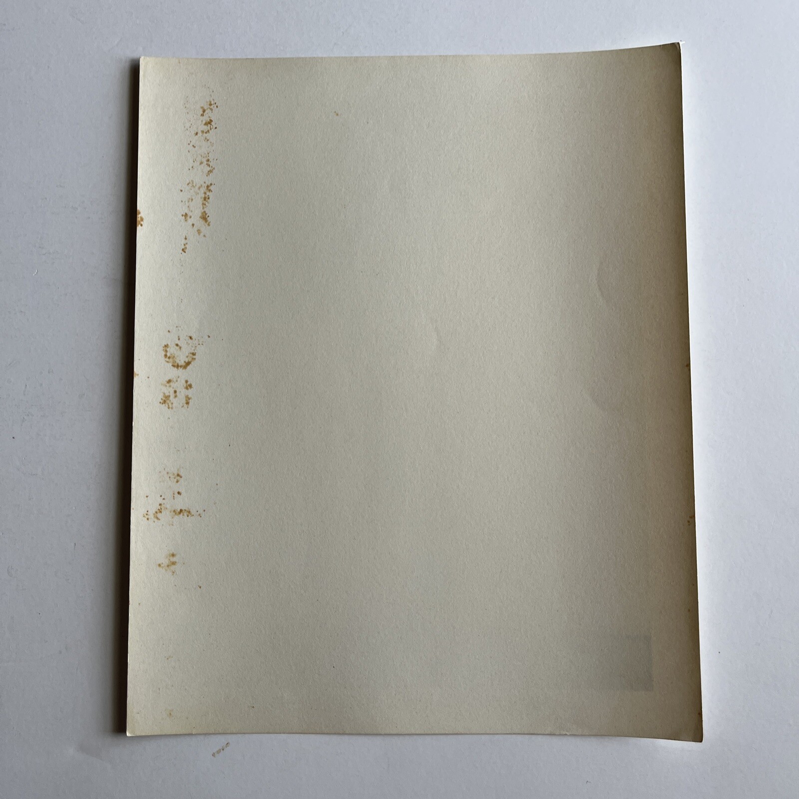 VIOLET VIANN ORIGINAL 8x10 PROMO PHOTO GIRL WOMAN LADY PROFESSIONAL ...