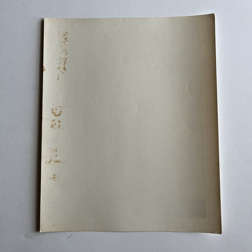 VIOLET VIANN ORIGINAL 8x10 PROMO PHOTO GIRL WOMAN LADY PROFESSIONAL ...