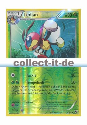 7/146 - Ledian - Reverse Holo | eBay.de