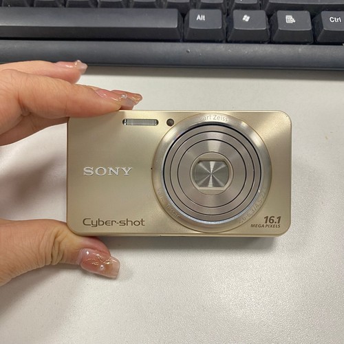 Sony Cyber-Shot DSC-W570 16MP 5x Zoom HD Video Digital Still Camera 100 ...
