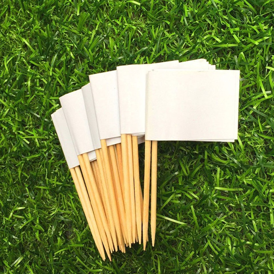 Mini Flag Toothpicks Birthday Cupcake Toppers Catering Flags Blank Food ...