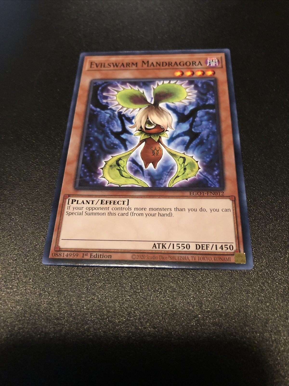Yugioh! Evilswarm Mandragora - EGO1-EN012 - Common - 1st Edition Near ...