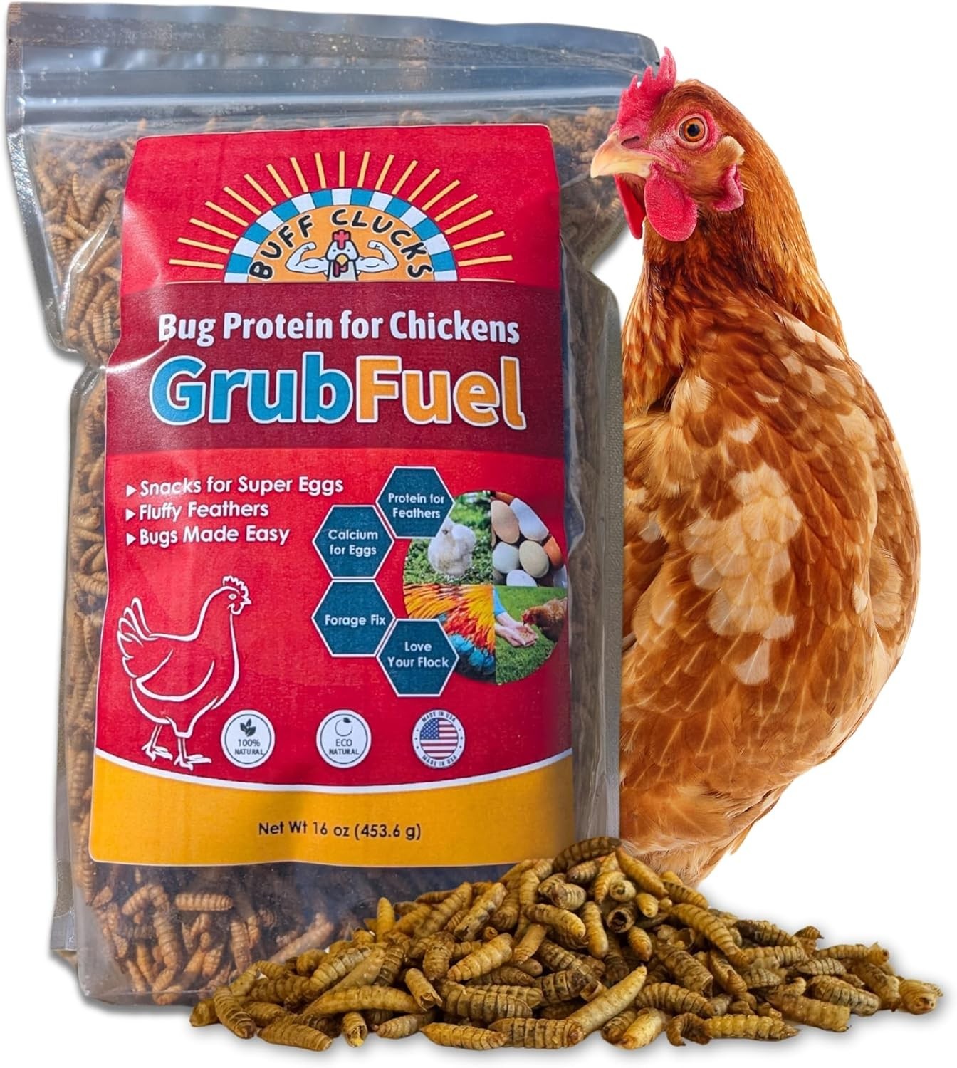 Buff Clucks Grub Fuel Black Soldier Fly Larvae for Chickens - Nutrient ...