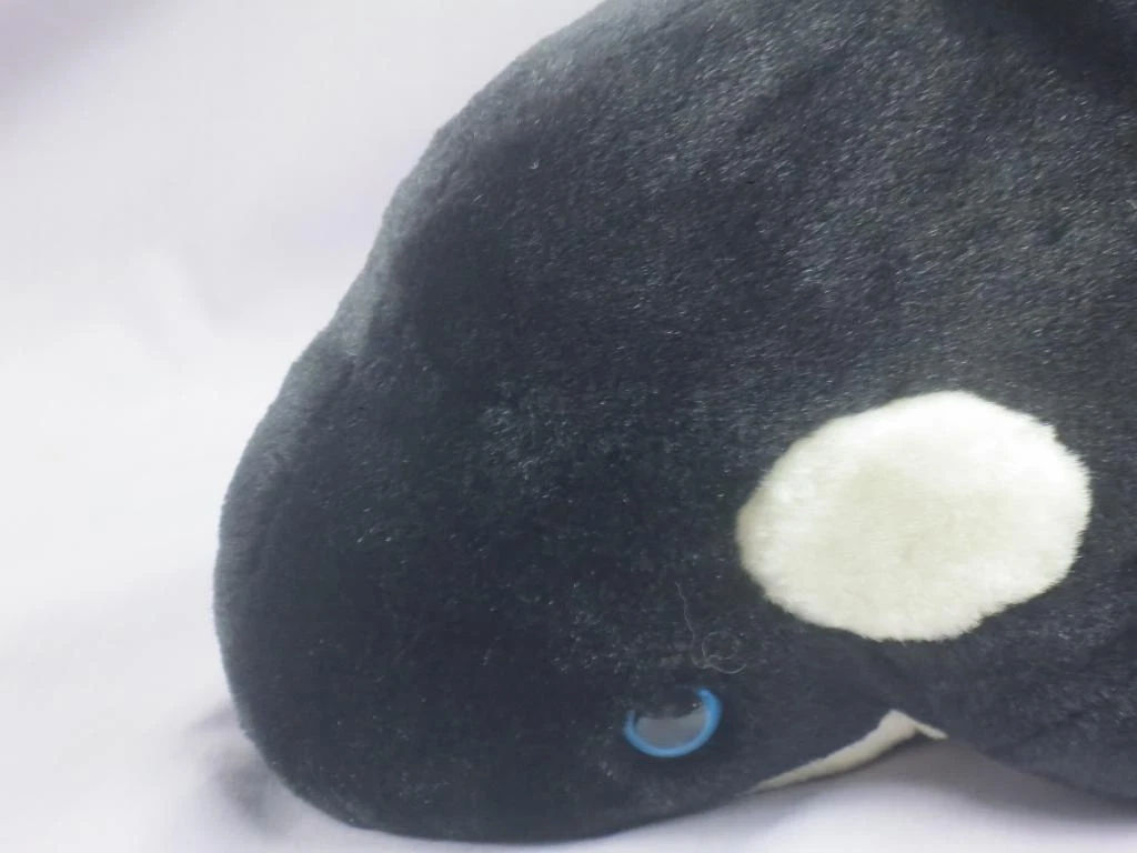 Orca Eye Color