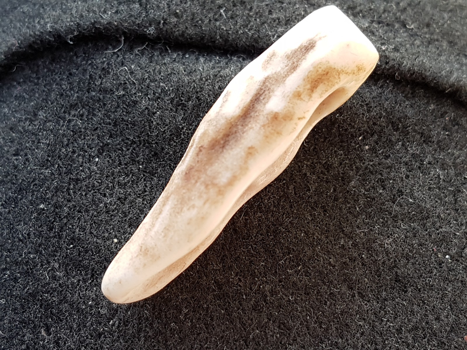 Stunning Viking Cattle/domestic animal carved tooth pendant wearable ...