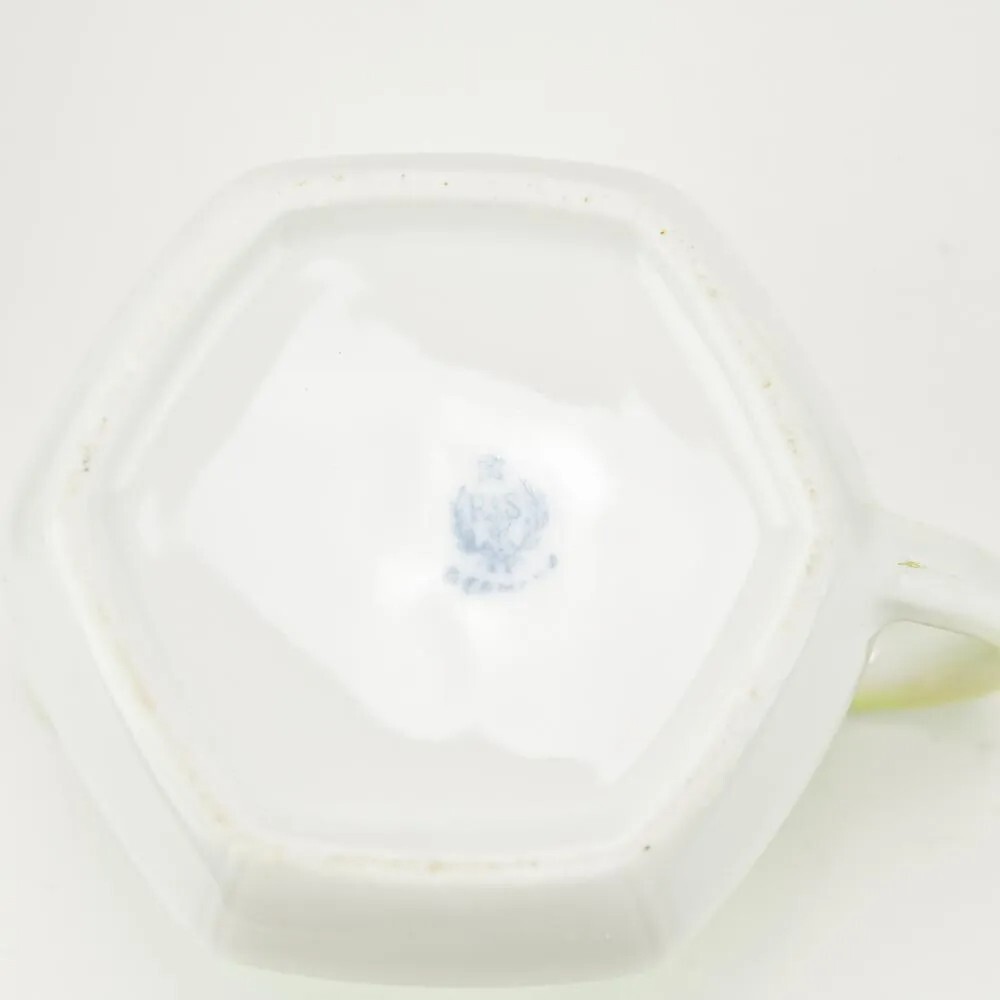 ME Geyey RS JS Germany RS Prussia Porcelain tea coffee pot cup saucer ...