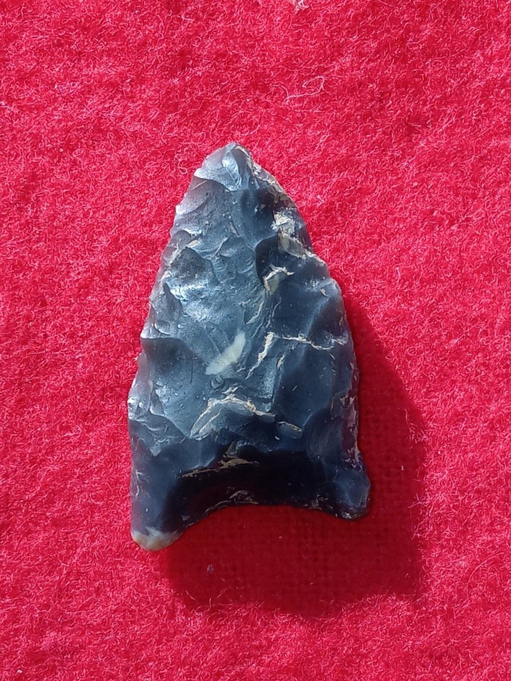 👉 GREAT 1 1/8" VIRGINIA KNOX CHERT PALEO DART CACTUS HILL FORM ...