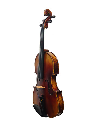 Free shipping!Best model!A Double Bass (Gamba) Shape Viola 16.25" extra ...