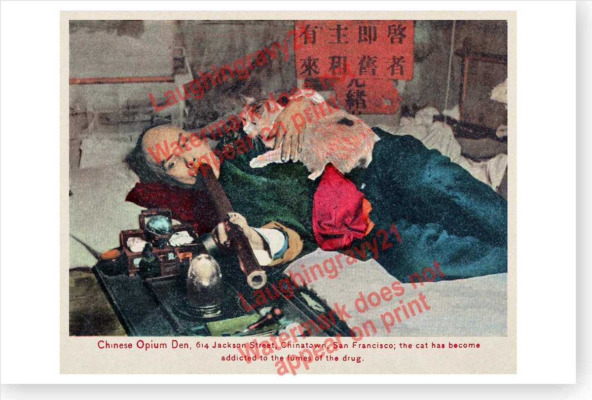 Chinese Opium Addict