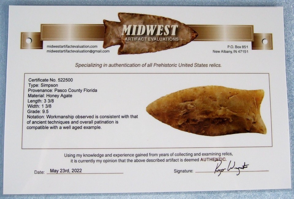 Exceptionally Fine Colored 3 3/8 inch Florida Simpson Point with COA ...