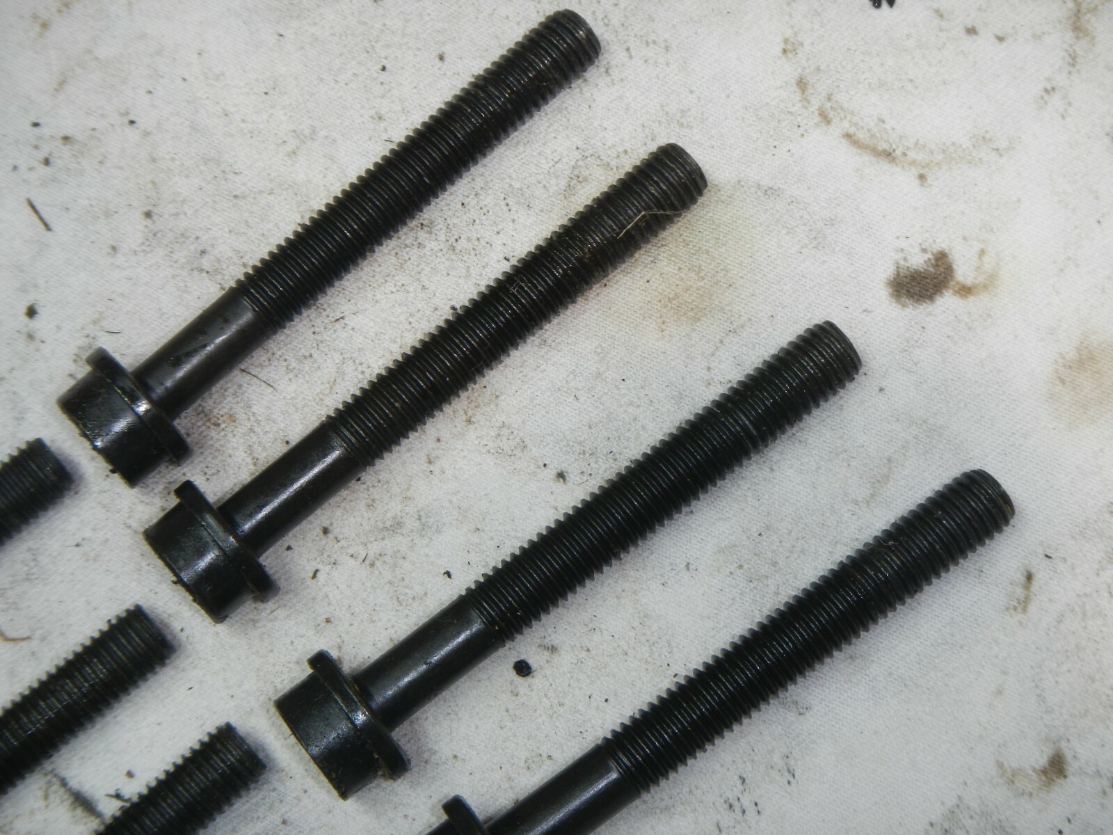 Cylinder head mount bolts 2007 2008 09 Sprint ST Tiger 1050 | eBay