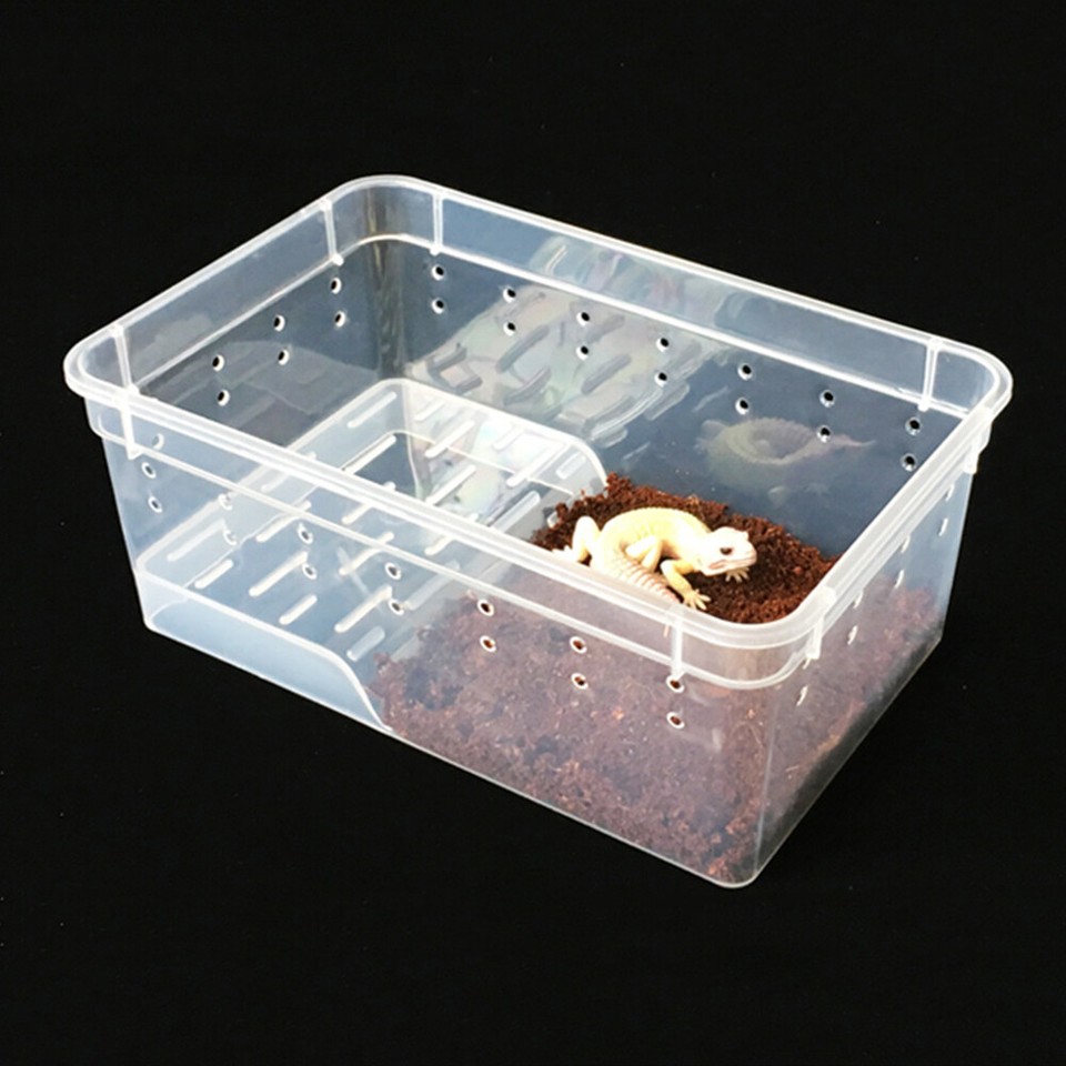 8-Grid Acrylic Reptile Enclosure Cage Lizard Frog Pet Snake Terrarium ...