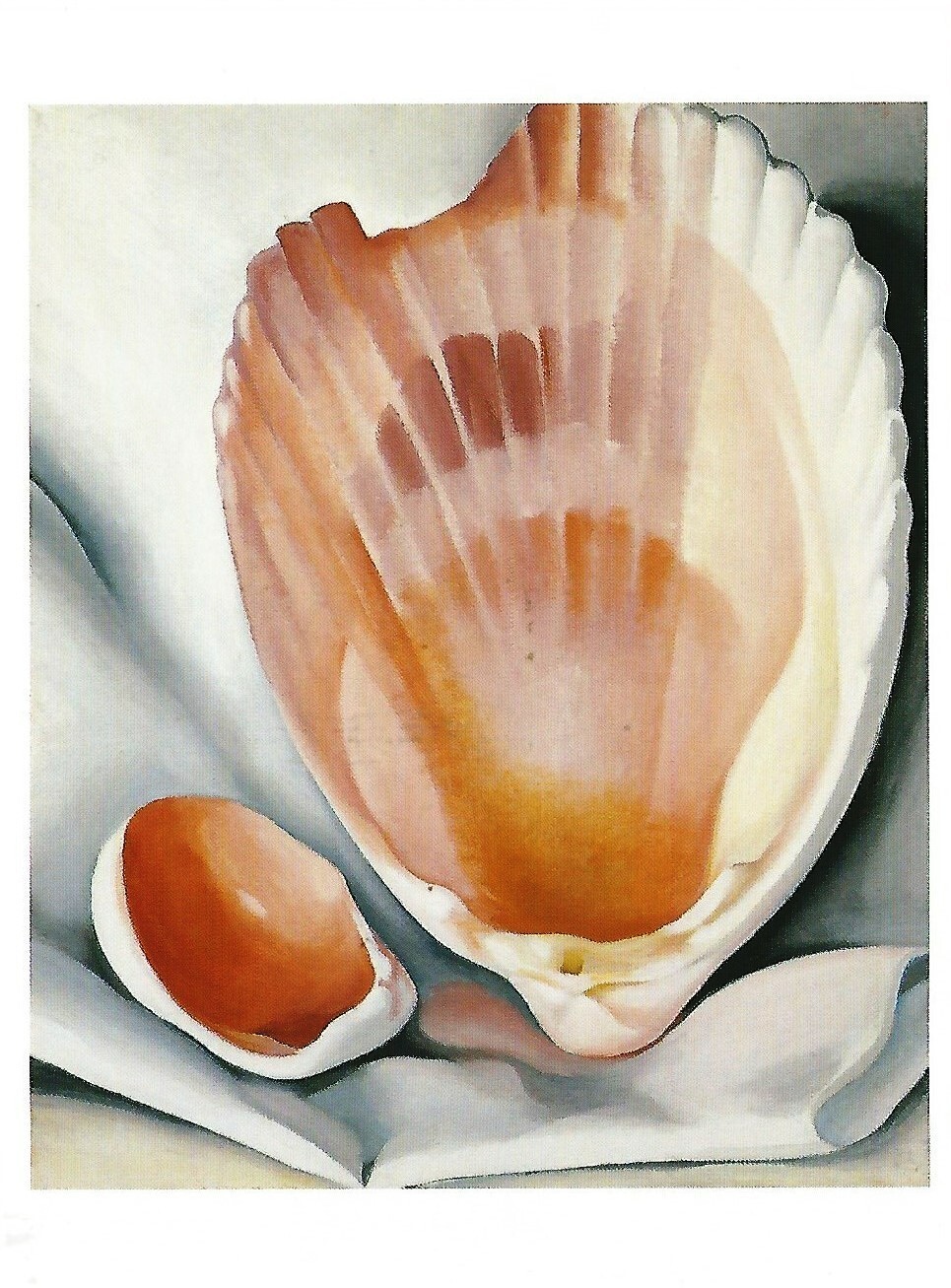 Postcard Georgia O'Keeffe "Two Pink Shells/Pink Shell" 1937 O'Keeffe ...