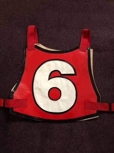 Speedway race jacket / bib / tabard Exeter Devon Demons | eBay
