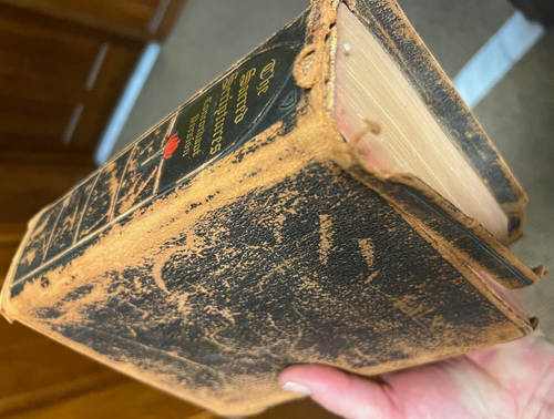 🍎NEW TESTAMENT CONCORDANT VERSION STUDYBIBLE+NT COMMENTARY+GREEK TEXT ...