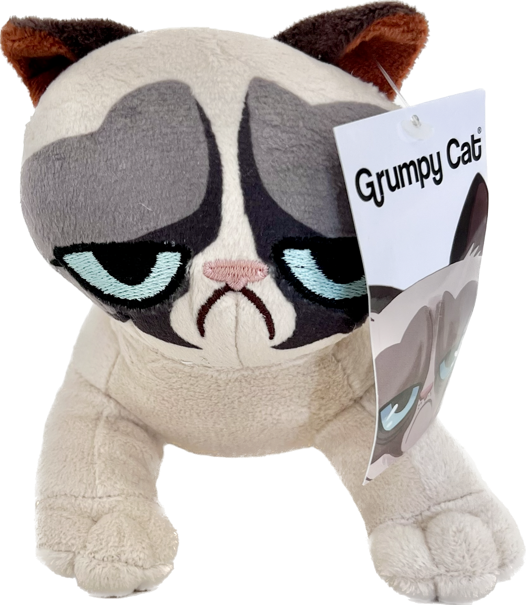 Grumpy Animal Is Sauerkraut Kitty The New Grumpy Cat? Exclusive Q & A
