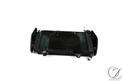 13-16 KTM RC390 Duke 390 Radiator | eBay