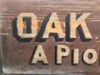 Antique 1900 -20’s Oak Grove Pioneer Farm, Schoolcraft,MI Hand Painted ...