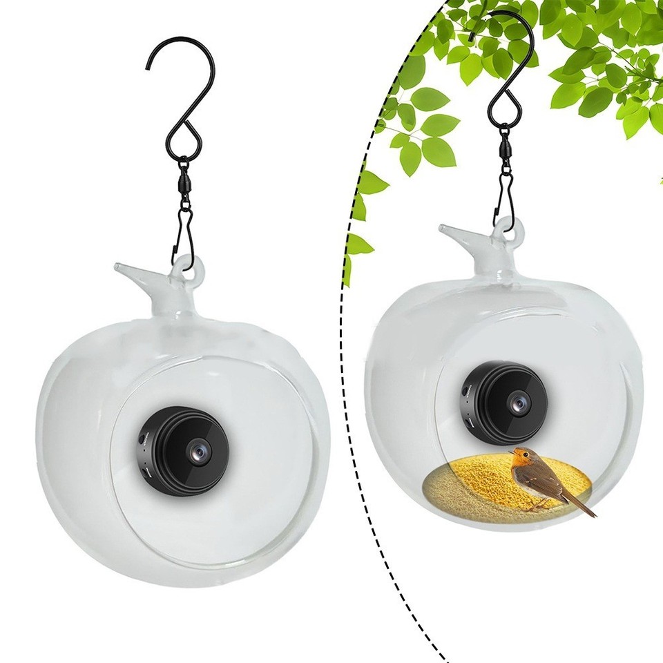 High Definition Bird Feeder with Wifi Camera Sleek Design Easy ...
