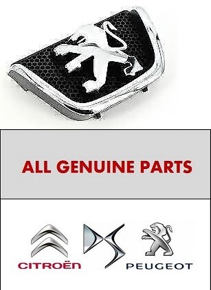 Genuine PEUGEOT EXPERT PARTNER 207 (W_) FRONT Badge 7810P9 | eBay