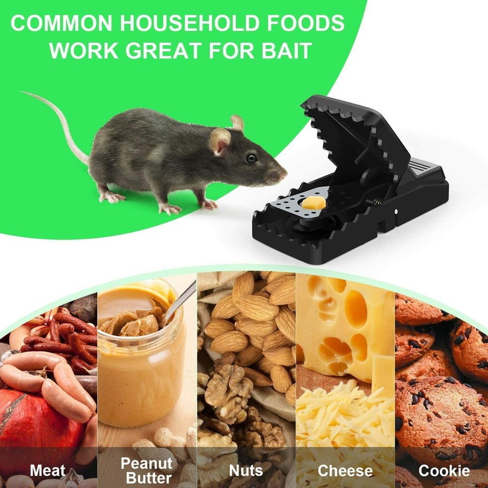 6 Pack Mouse Traps Rat Mice Killer Snap Trap Power Rodent Heavy Duty ...