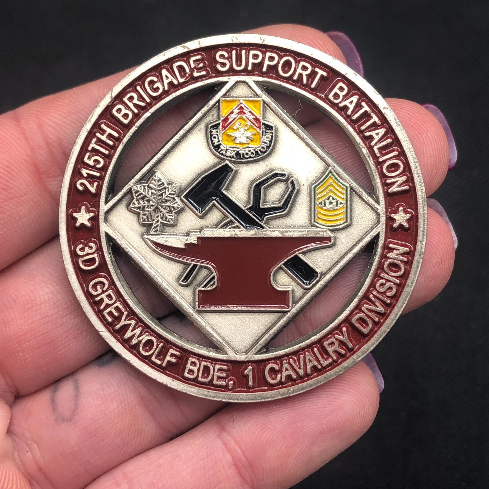 215th Brigade Support Battalion 3D Greywolf BDE, 1 Calvary Div ...