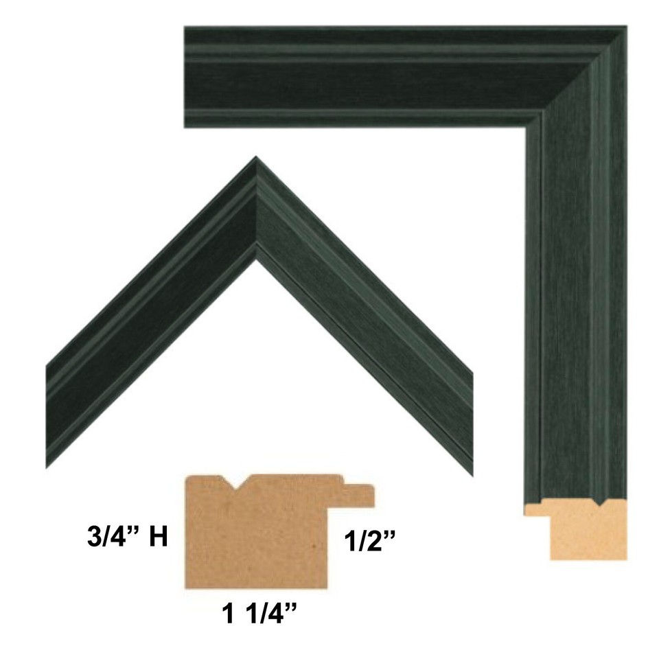 50 ROOSEVELT DIME COINS (NOT INCLUDED) WALL DISPLAY PICTURE FRAME 16" x ...