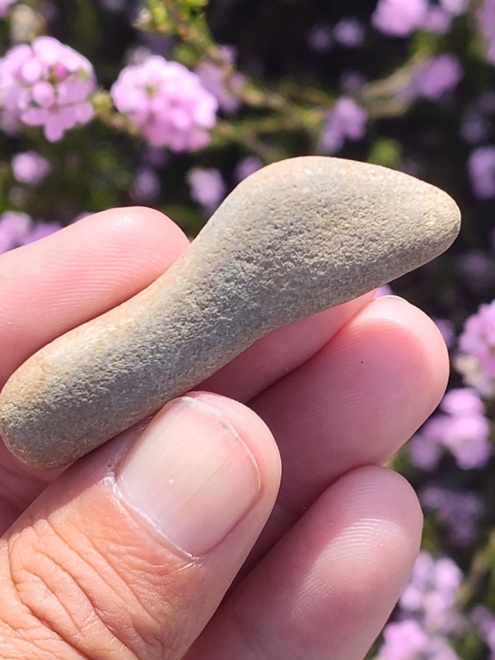Indian Artifacts Atlatl Spur Ohlone Indian Artifacts California | eBay