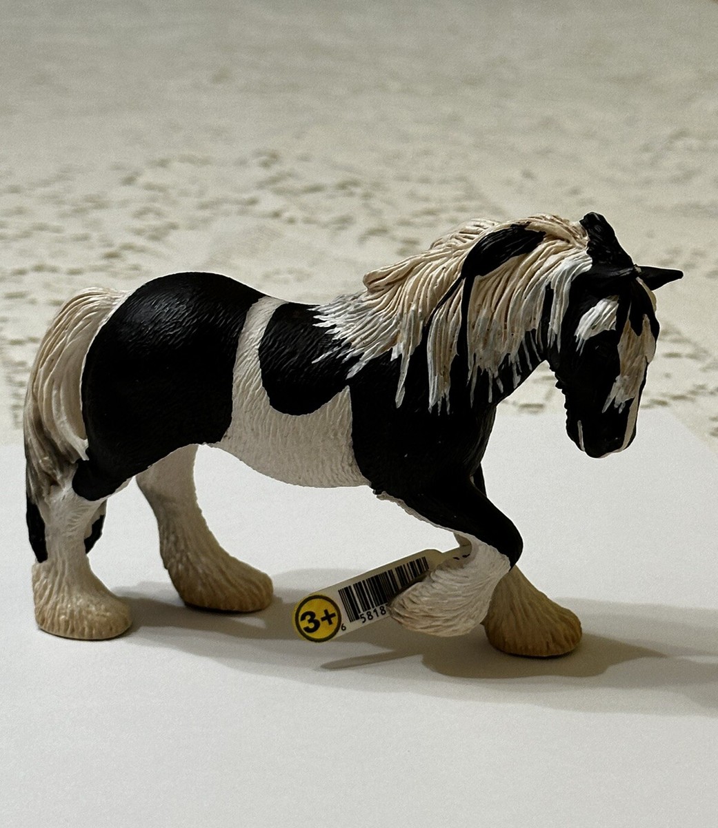 Horse Tinker Mare Tinker Mare Floss Edyta Trojańska Koch