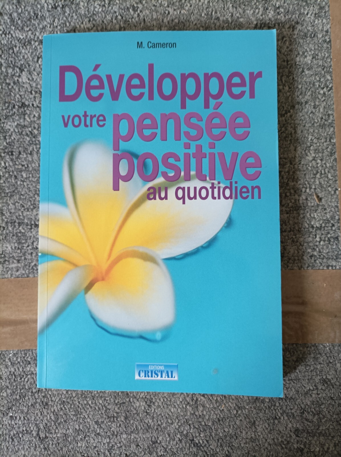 Entwickeln Sie Ihr Positives Denken Im Alltag - M. Cameron - Mam | eBay