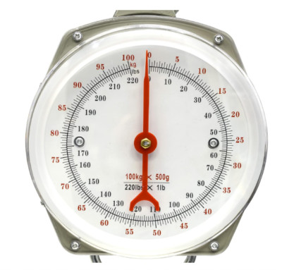 Hanging Spring Dial Scale 220Lb/100Kg Big Game Scale，Hanging Scale with ...