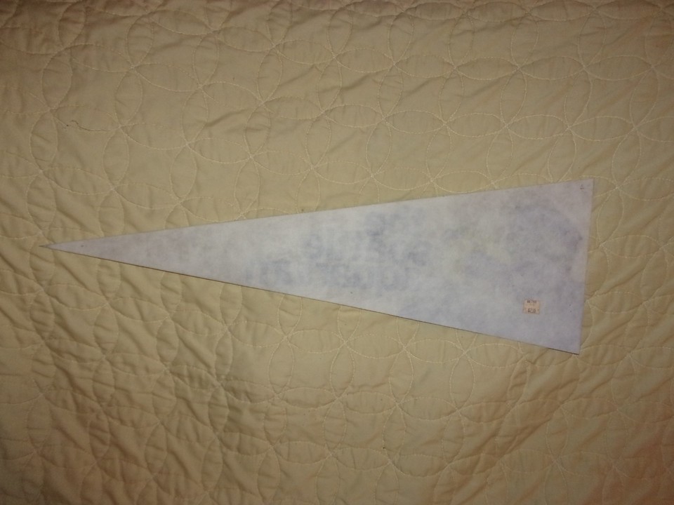 Vintage The Seattle Aquarium Blue White Black Otter Banner Pennant | eBay