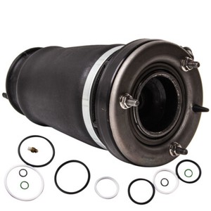 pour BMW X5 E53 3.0d 4.4i Air Suspension Pneumatique Amortisseur Avant ...