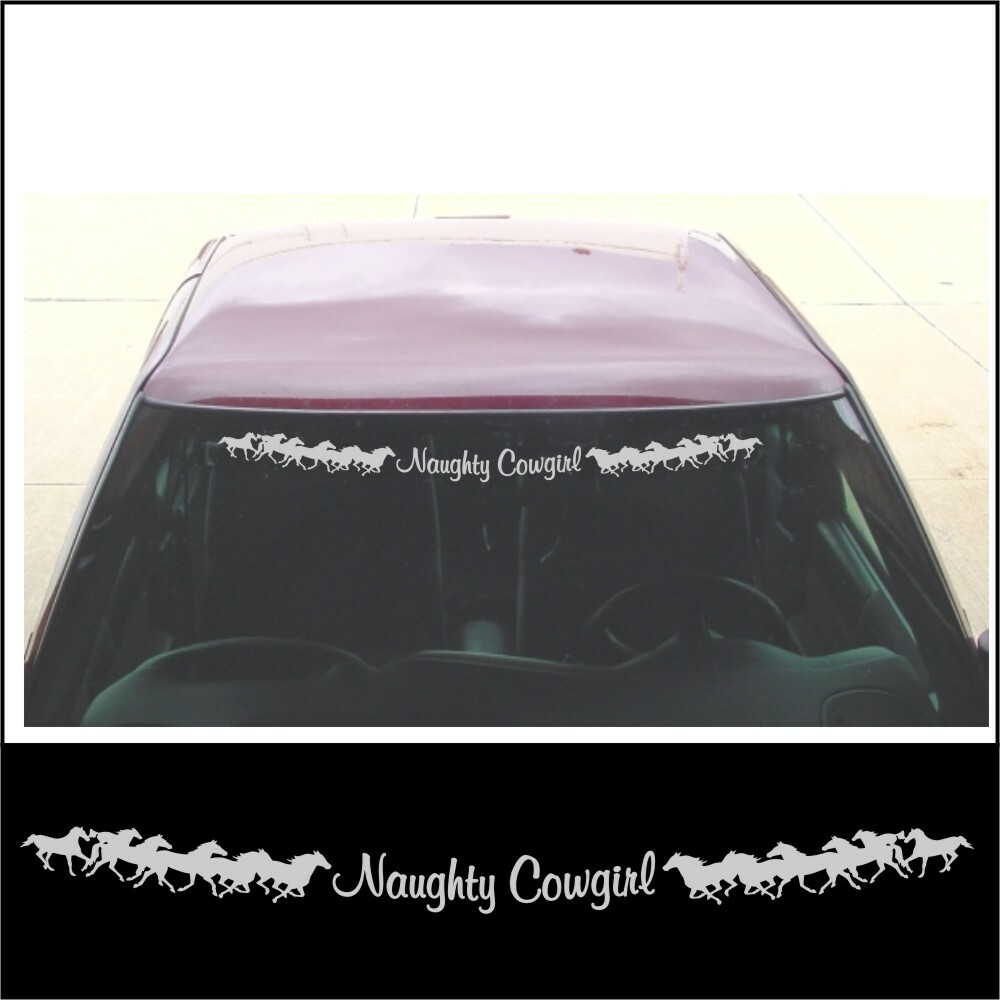 Window Graphics For Windshield