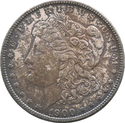 1900 Morgan Silver Dollar - Rustic Crusty Original Tone *3811 | eBay
