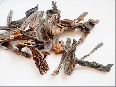 DriedDogTreats [500g] Dried Beef Tripe Crunchy Chews Treat 100% NATURAL ...