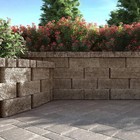 Pavestone Greystone Concrete Paver H 1.77" x W 3.50" x L 7.00" Rust ...