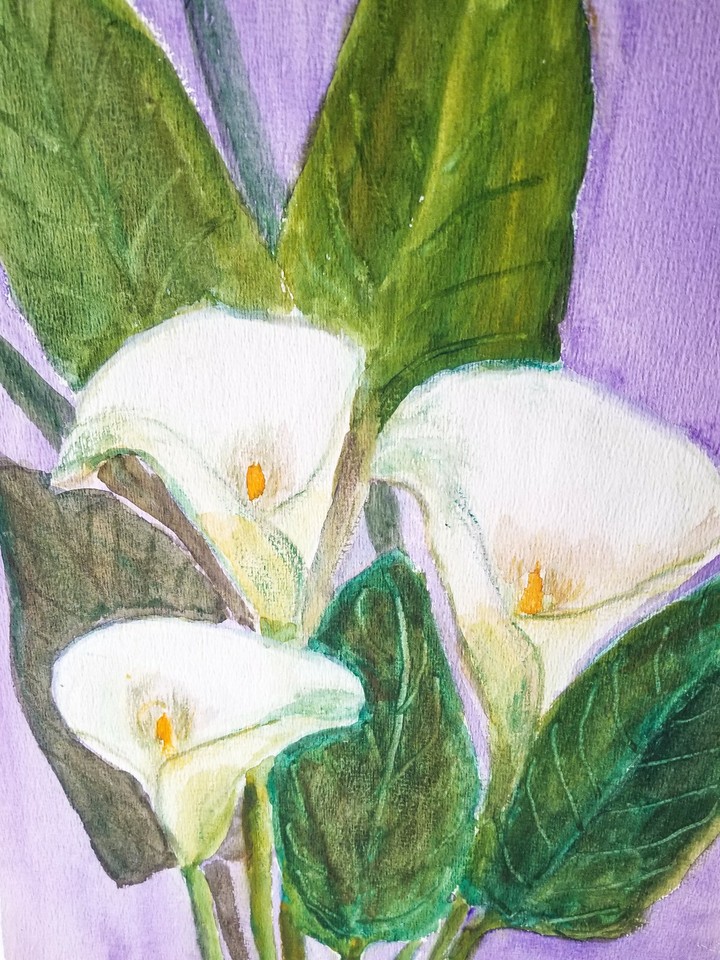 Cala Lily Watercolo Painting 12" X 18" White Flower Art MCM Flower Art ...
