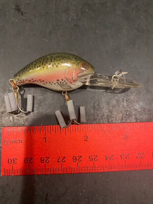 Rebel Deep Wee R Naturalized Trout | eBay