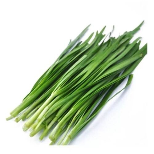 100+ Organic Nira Chive Seeds (garlic chives, Chinese chives) | eBay