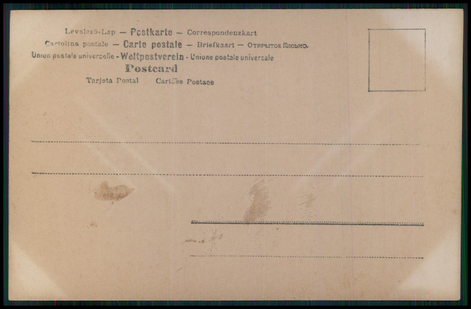 French risque woman Chubby bbw read book original vintage 1900s photo ...