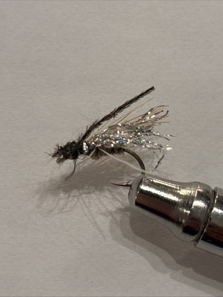 Shiny Nymph ᴀɴᴅ Black Hornet (custom Made Beats For Fly Fishing ) | eBay