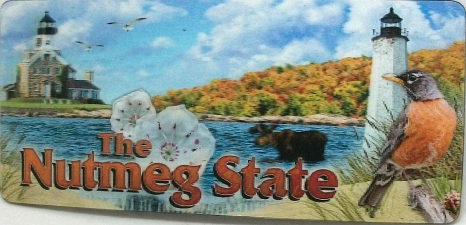 Connecticut The Nutmeg State 3D Fridge Magnet | eBay
