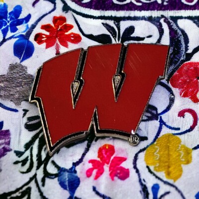 WISCONSIN BADGERS LOGO PIN | eBay